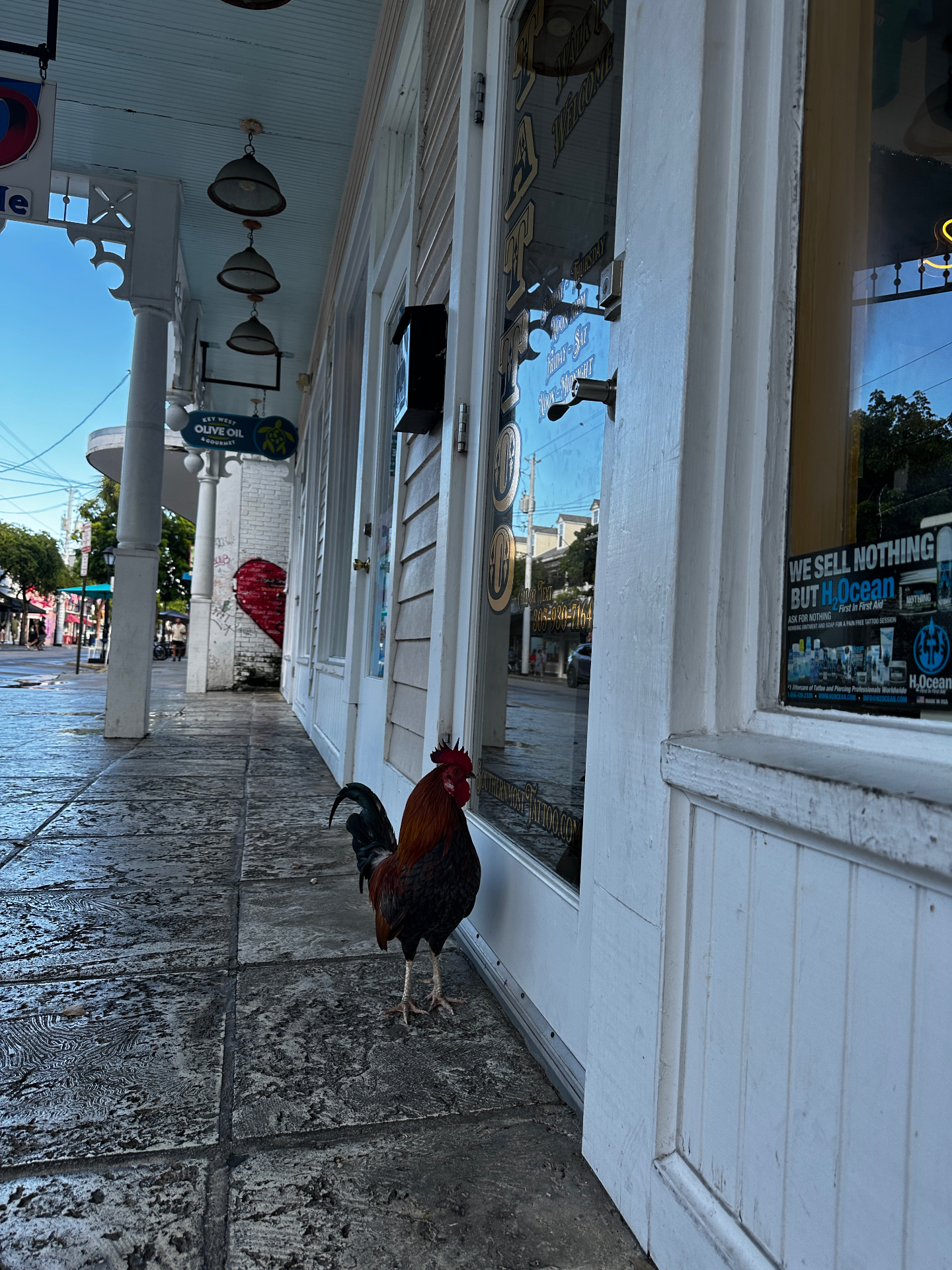 Southernmost Tattoo | Key West Tattoo & Piercing Studio on Duval Street