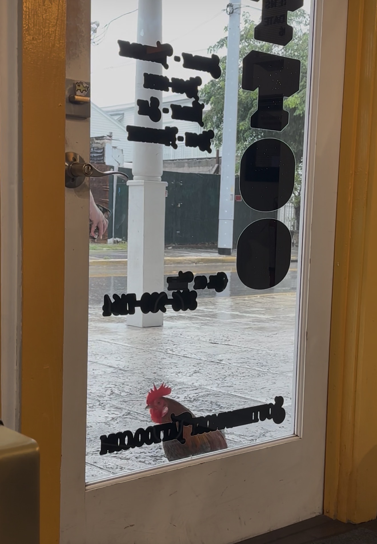 Southernmost Tattoo | Key West Tattoo & Piercing Studio on Duval Street