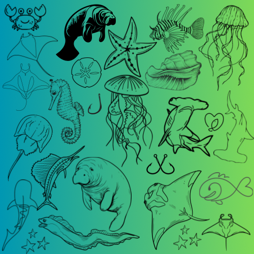 Southernmost Tattoo | Key West Tattoo & Piercing Studio on Duval Street